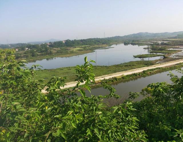 Resolving strained water resources with synthetic water - iMedia