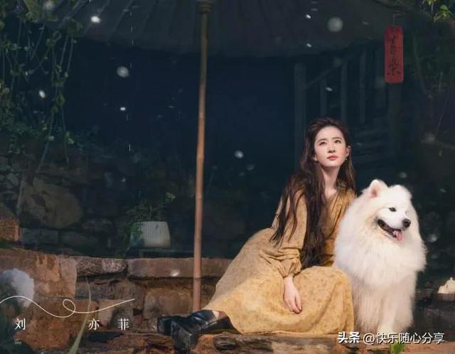 Liu Yifei's first modern drama "To a Windy Place", co-starred with Li ...