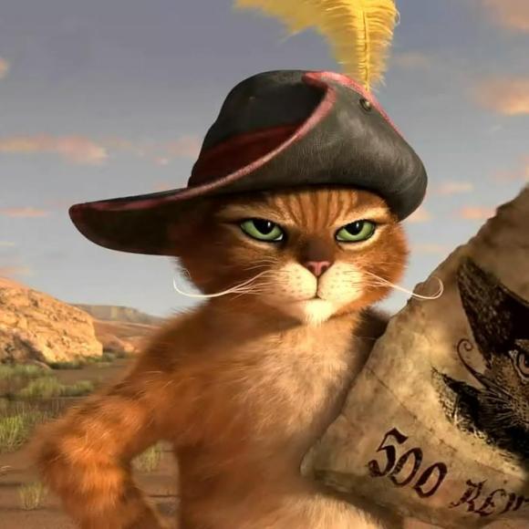 looking for a cat (on) - iMedia