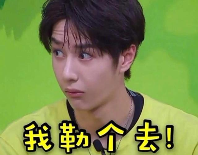 Big melon! Netizens revealed that they were pregnant with Wang Yibo's ...