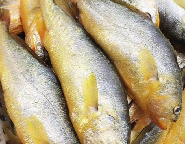 People take food as their heaven - yellow croaker - iMedia