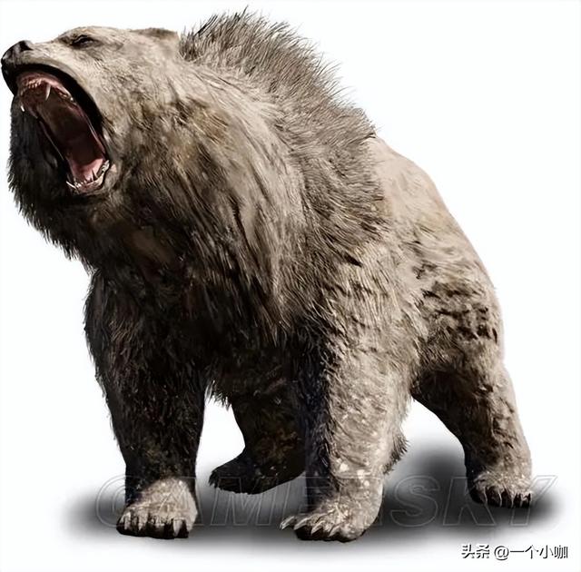 The eight most ferocious bears in history, the polar bear ranks fourth ...