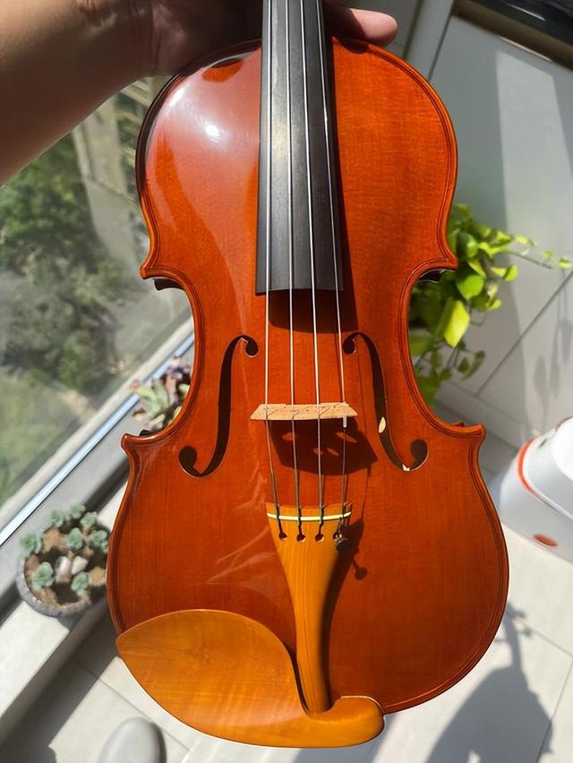 The characteristics and value of Italian violin art in the 17th and ...