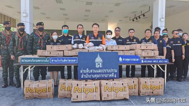 Thailand's Sadao Port seized 30 tons of frozen pork smuggled from ...