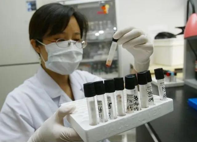 How is DNA paternity test done?Where is DNA testing done?I'll ...