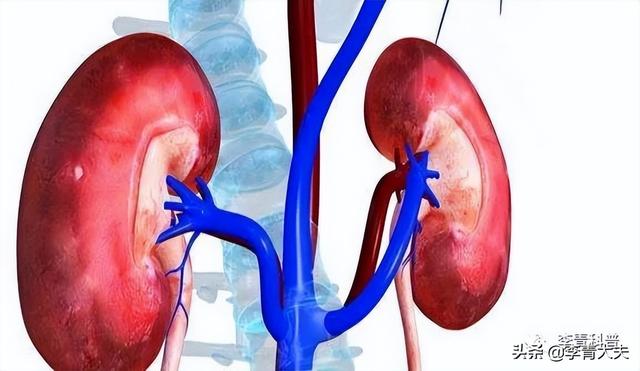 How her kidneys are shrinking, can't you feel it? - iMedia