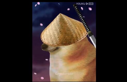 silence wench什么梗什么意思 国外非常流行的一个短视频|silence|wench-娱乐百科-川北在线