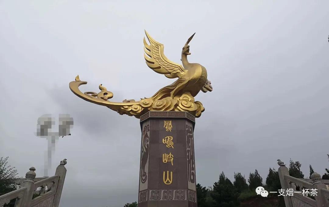 The undead bird that flew over a thousand years - Jinhou Bird Zun - iNEWS