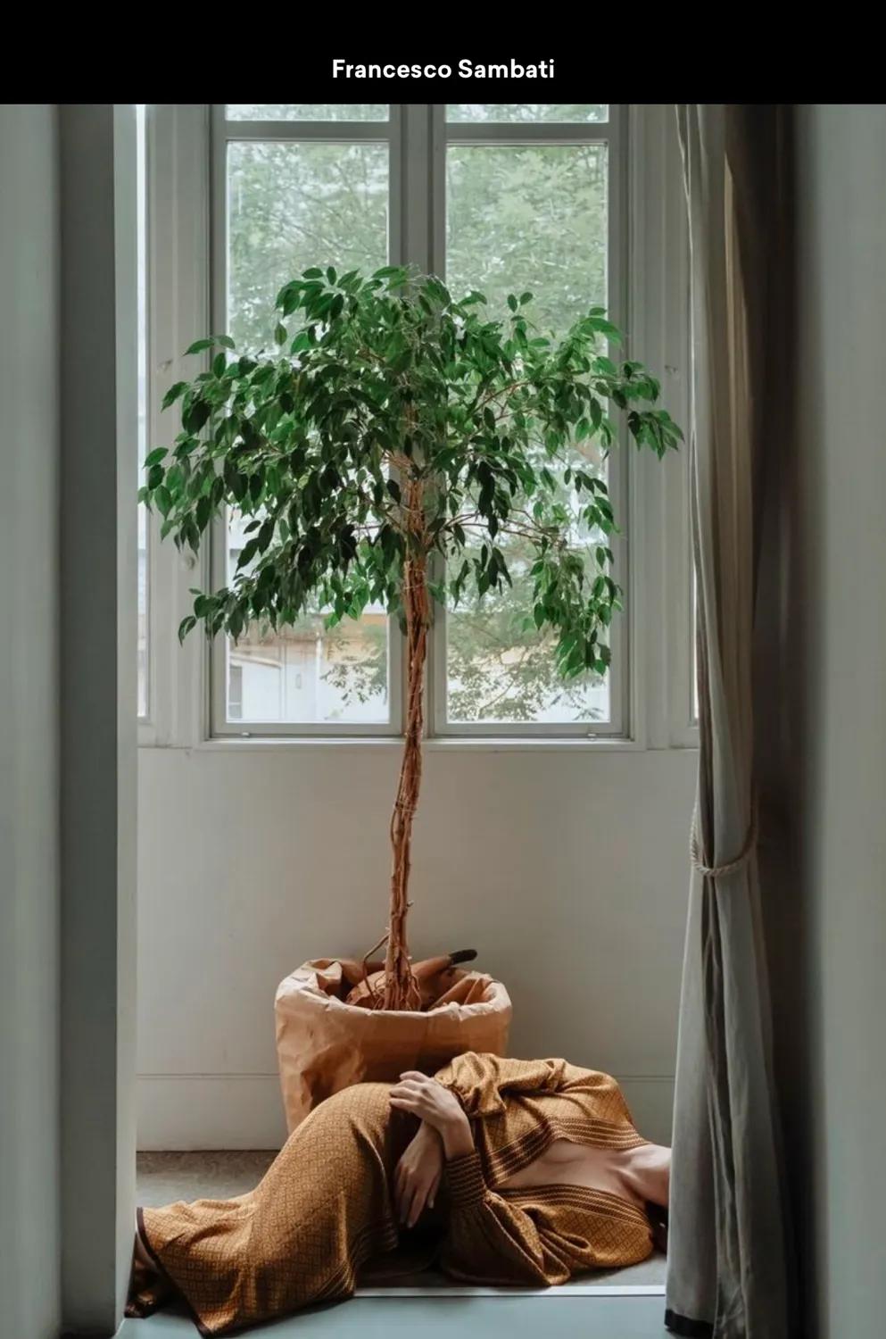 Photography: Francesco Sambati Elegant People - iNEWS