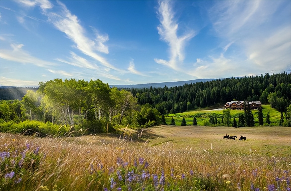 How expensive is a BC farm?6,000-acre luxury farm asking $23.8 million ...