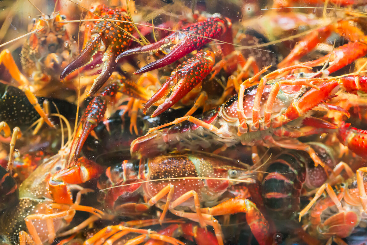 The top five foods with the most parasites, one of which everyone loves ...