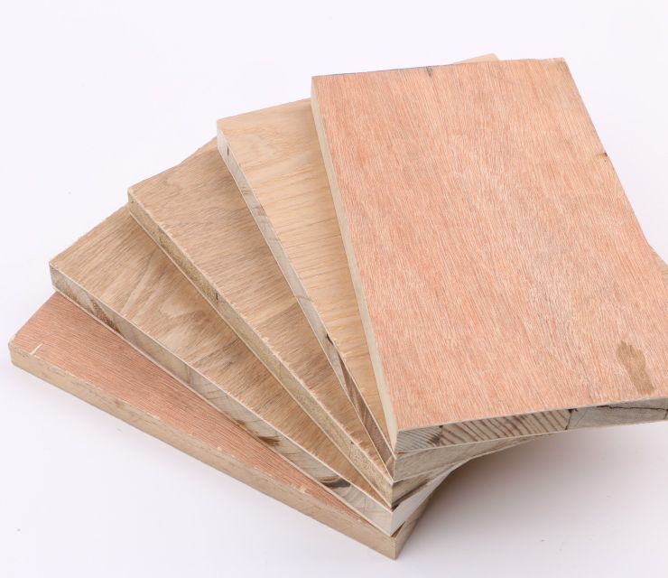 What are the common plates - iNEWS