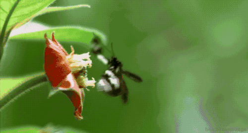 Can a butterfly flap its wings really trigger a typhoon of magnitude 12 ...