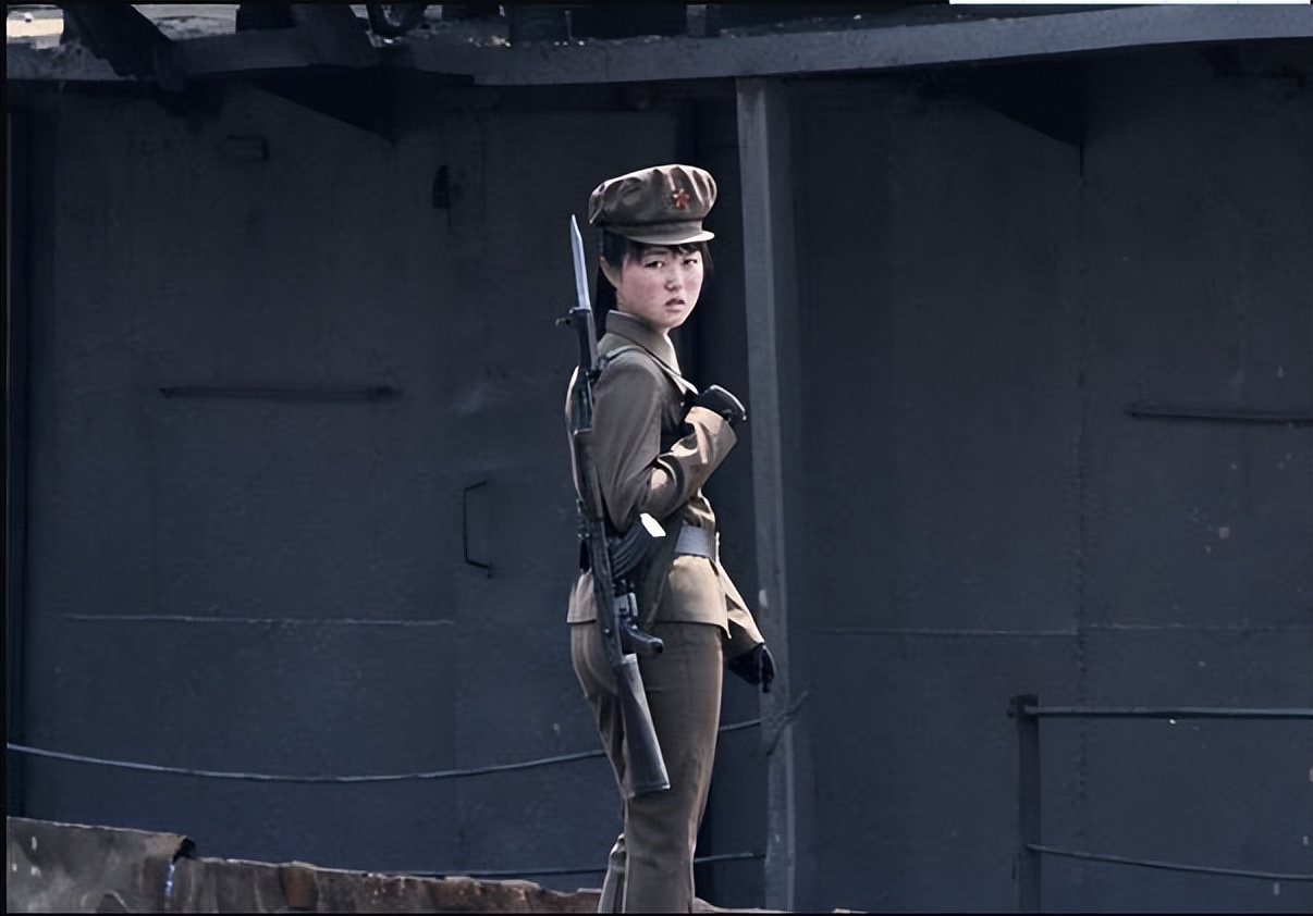 Development History of North Korean Light Weapons - Rifle Chapter 68 ...