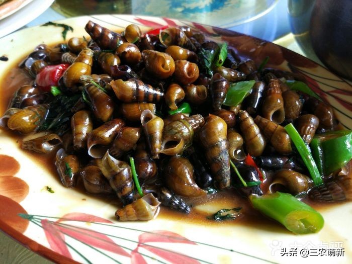 These 6 kinds of river fish, which were often caught by the river in ...