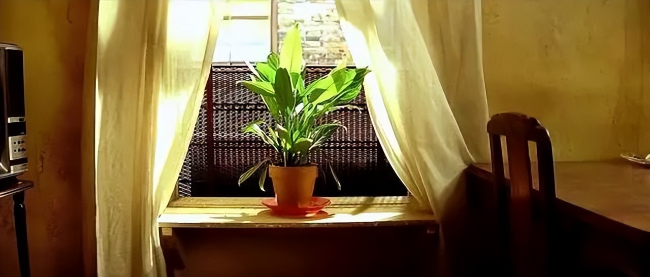 Stephen Chow's only horror film, it's really a classic - iNEWS