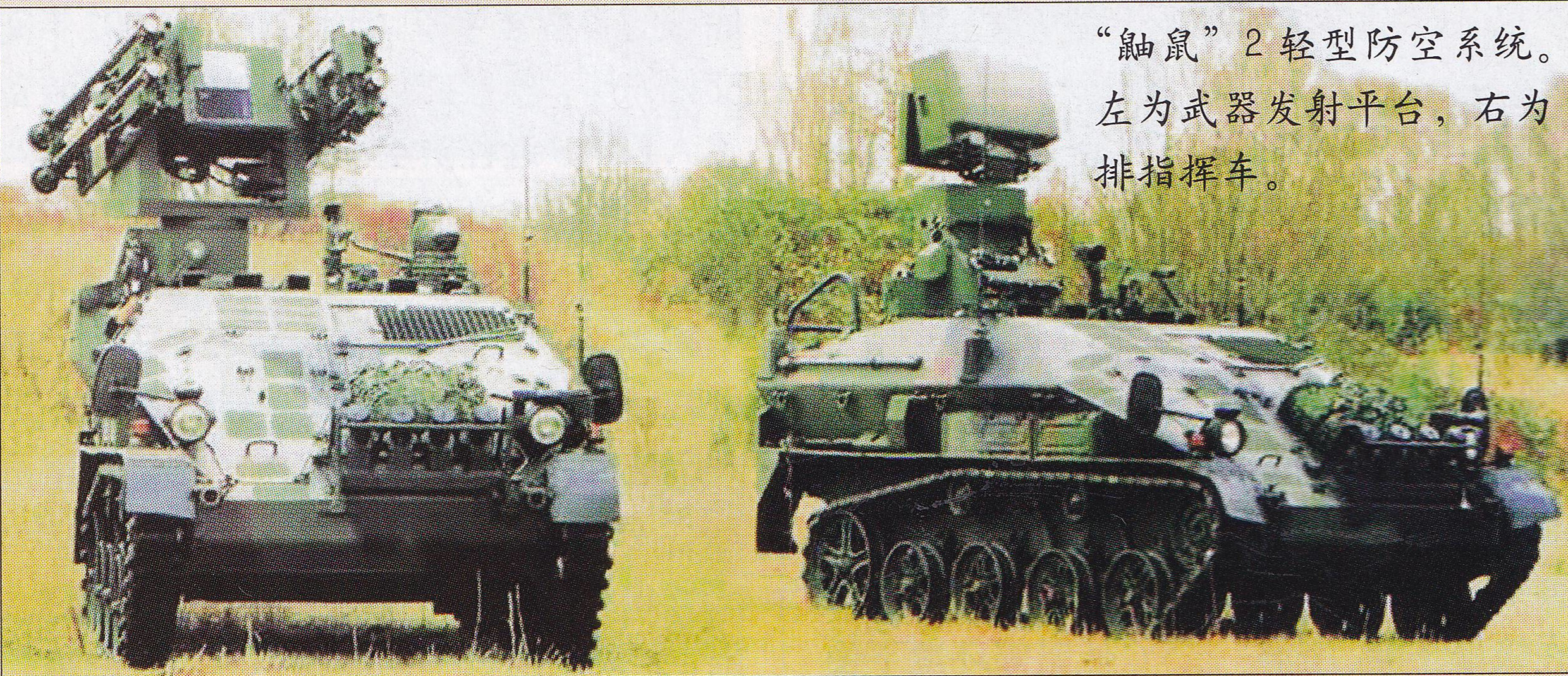 Airborne Iron Cavalry - German "Weasel" armored vehicle family - iNEWS