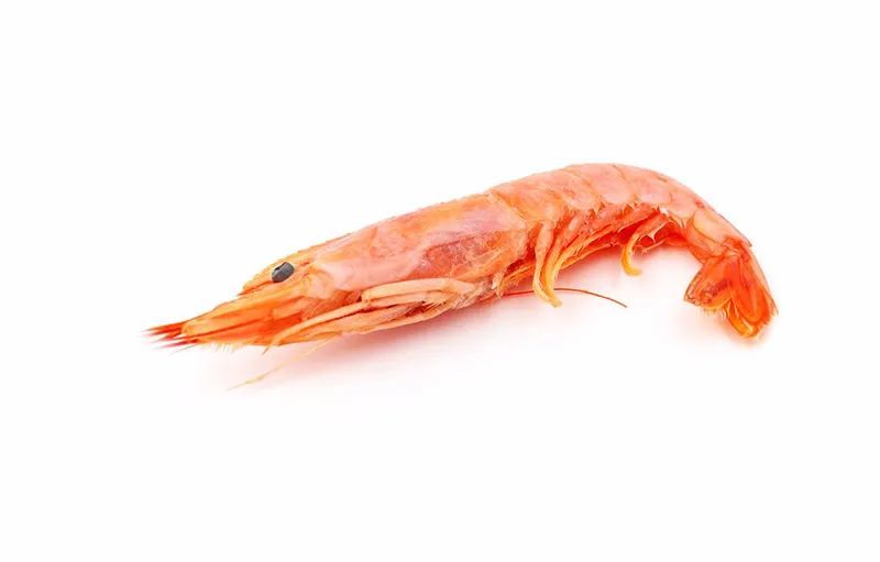 What is the difference between prawns, bamboo shrimps, nine-segmented ...