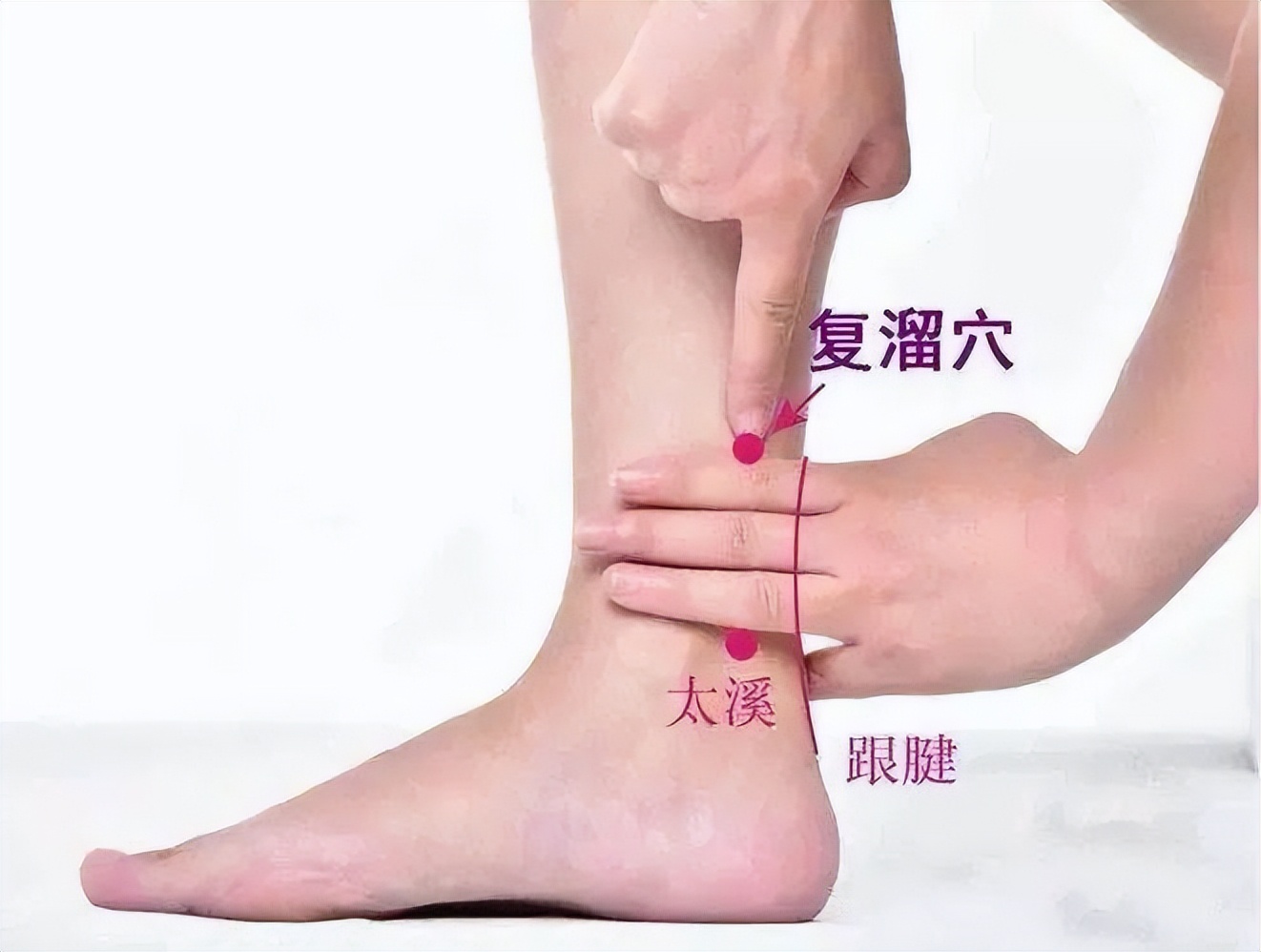 Popular Science of Meizi: Twelve Meridians, the Kidney Meridian of Foot ...