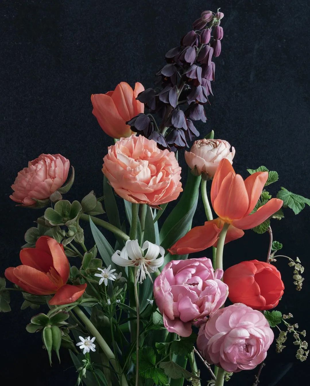 Countless flowers, countless beauty - iNEWS