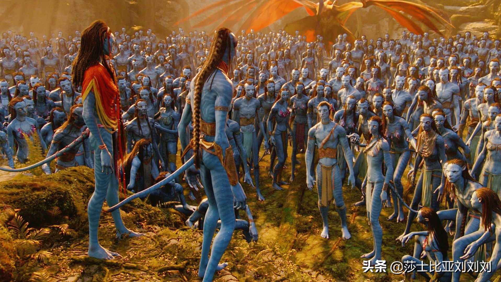An article takes you to understand the Na'vi in "Avatar" - iNEWS
