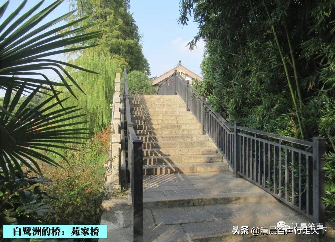 Garden Highlights: The Bridge of Bailuzhou - iNEWS