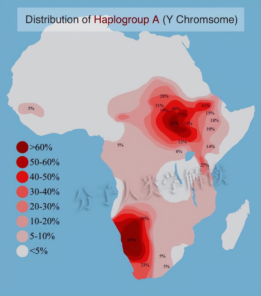 Introduction to Molecular Anthropology Fundamentals Seven, Patrilineal ...