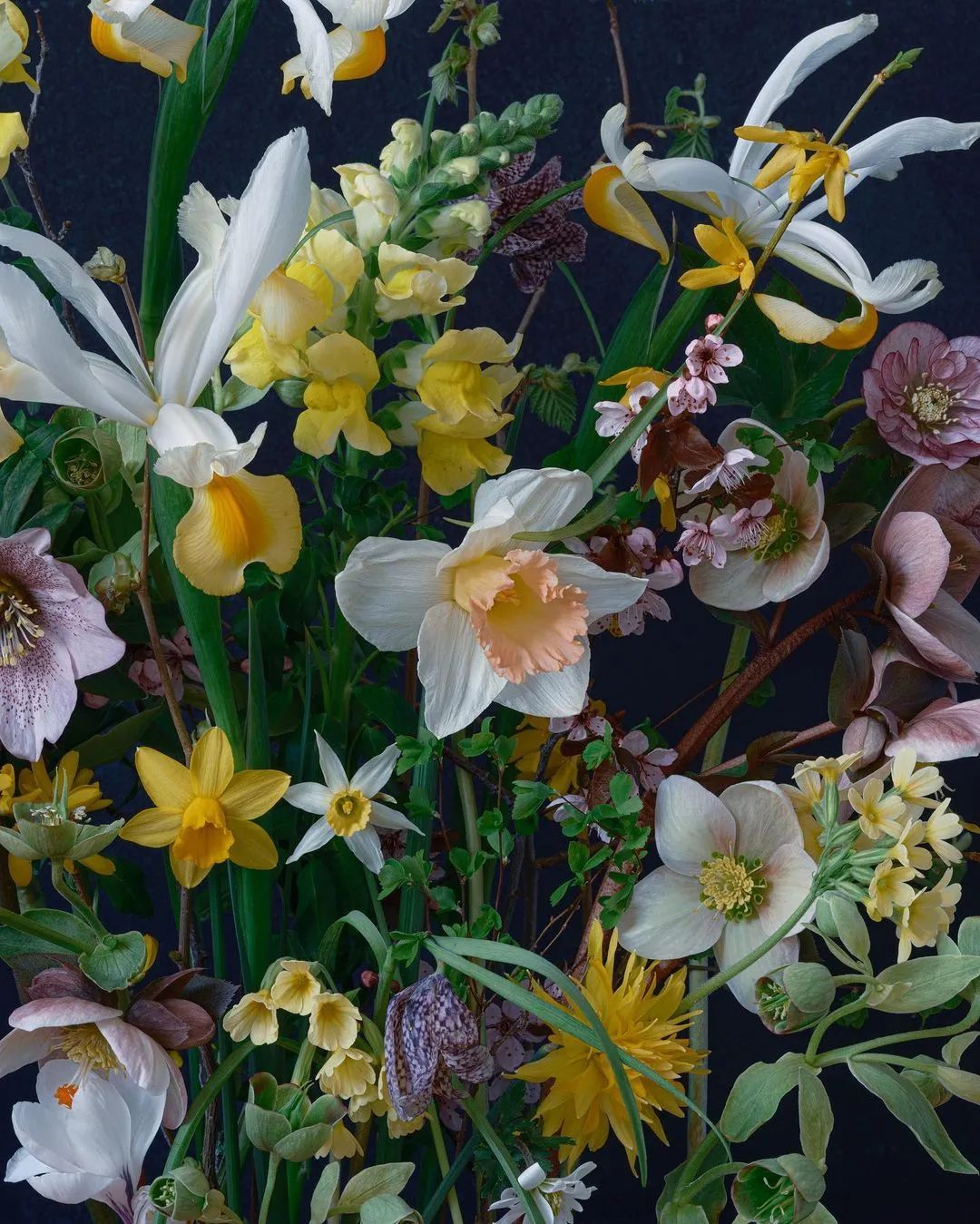 Countless flowers, countless beauty - iNEWS