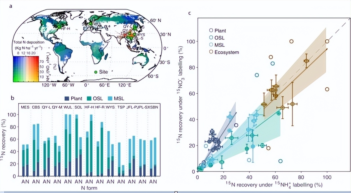 The effect of nitrogen deposition on the global forest carbon sink is ...