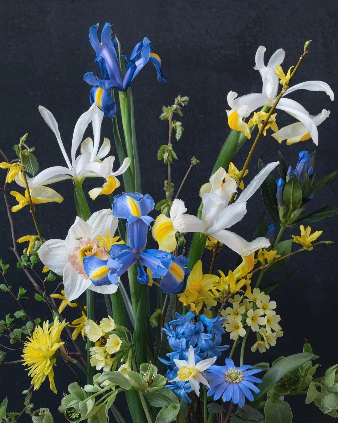 Countless flowers, countless beauty - iNEWS