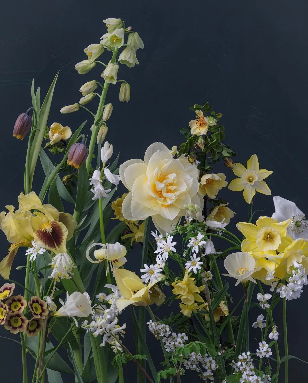 Countless flowers, countless beauty - iNEWS
