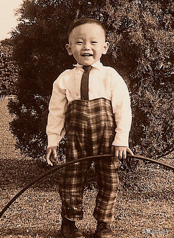 The double-sided life of TVB's "Last Emperor" Lin Baoyi, still single ...