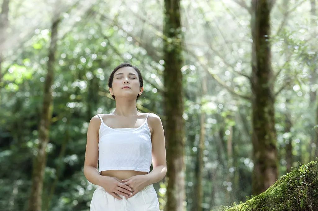 Six-character formula of traditional Chinese medicine: Shun, Jing, Xiu ...