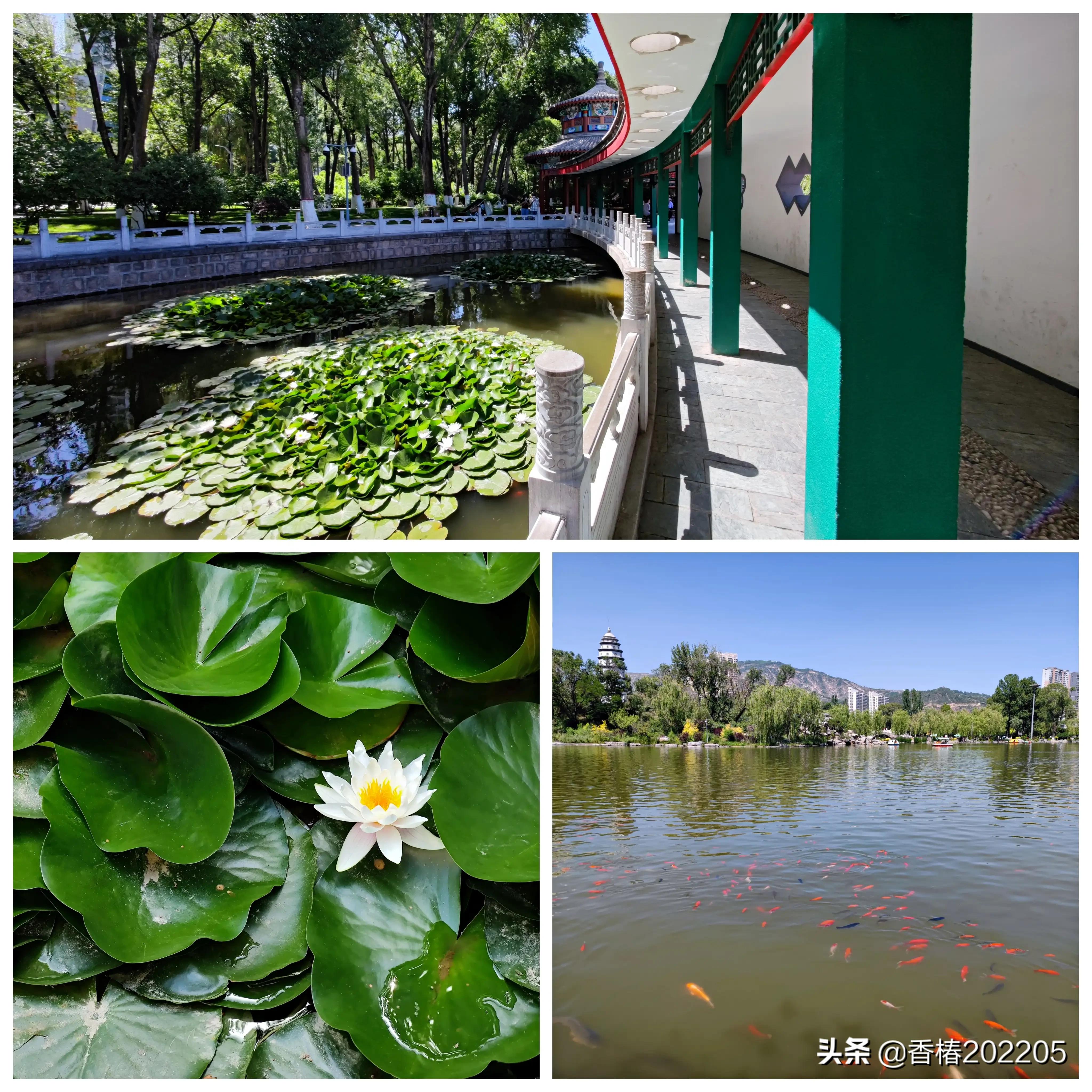 Xining People's Park - iNEWS