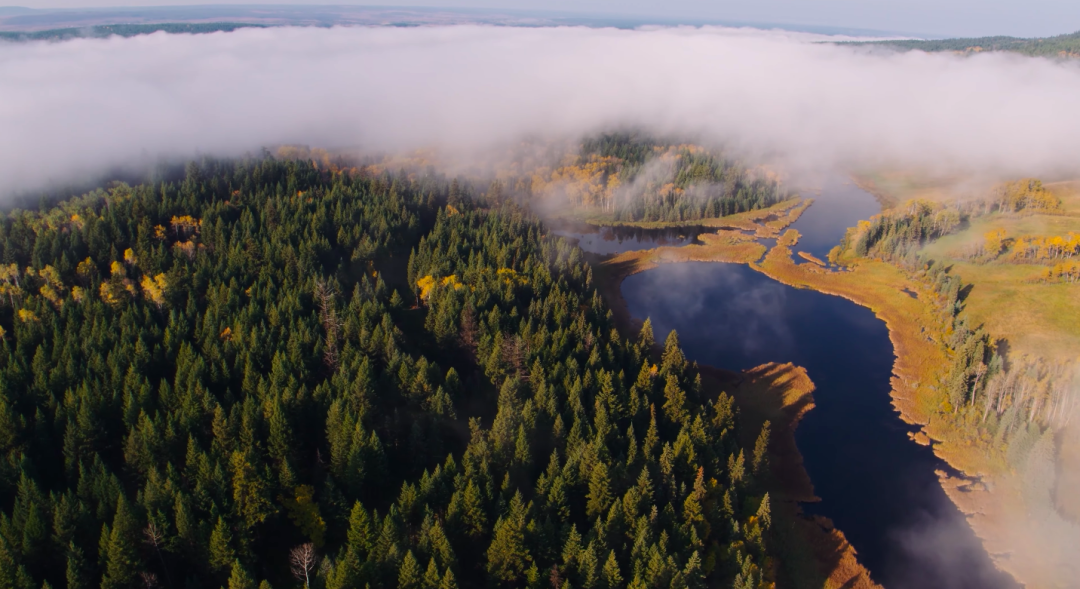 How expensive is a BC farm?6,000-acre luxury farm asking $23.8 million ...