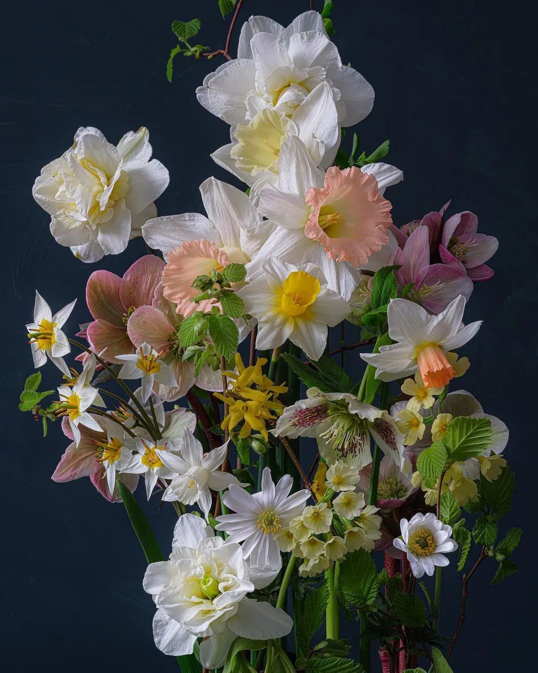 Countless flowers, countless beauty - iNEWS