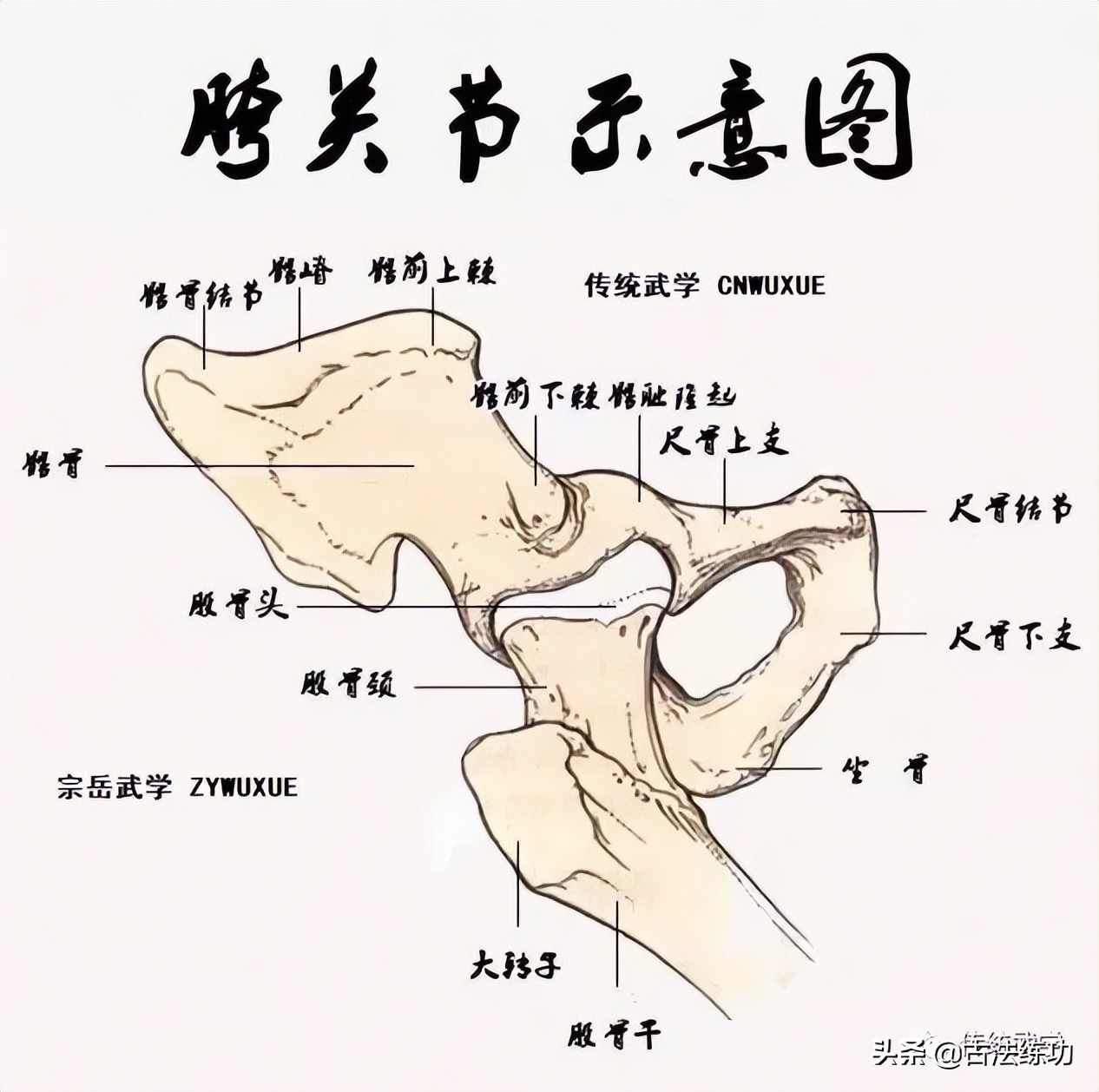 Practice hip opening, tell you a simple way to practice hips - iNEWS
