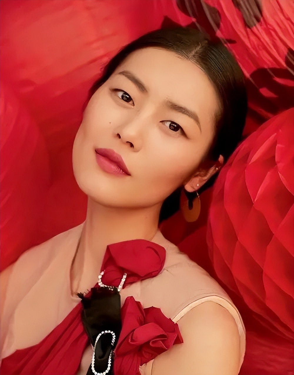 It is recognized that the 6 most beautiful faces with dimples: Lin ...