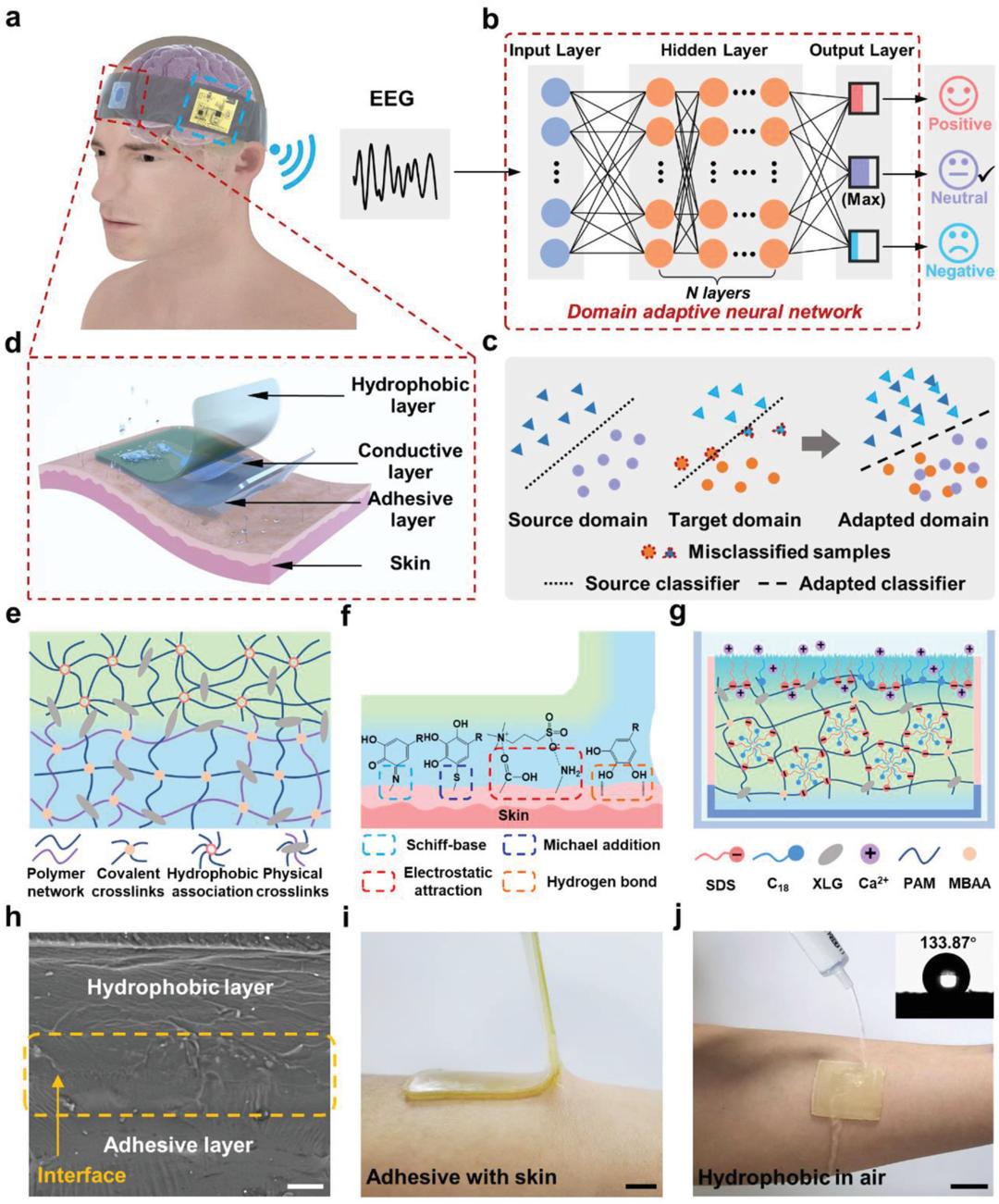 Adhesive/hydrophobic bilayer hydrogel sensor for high-fidelity ...
