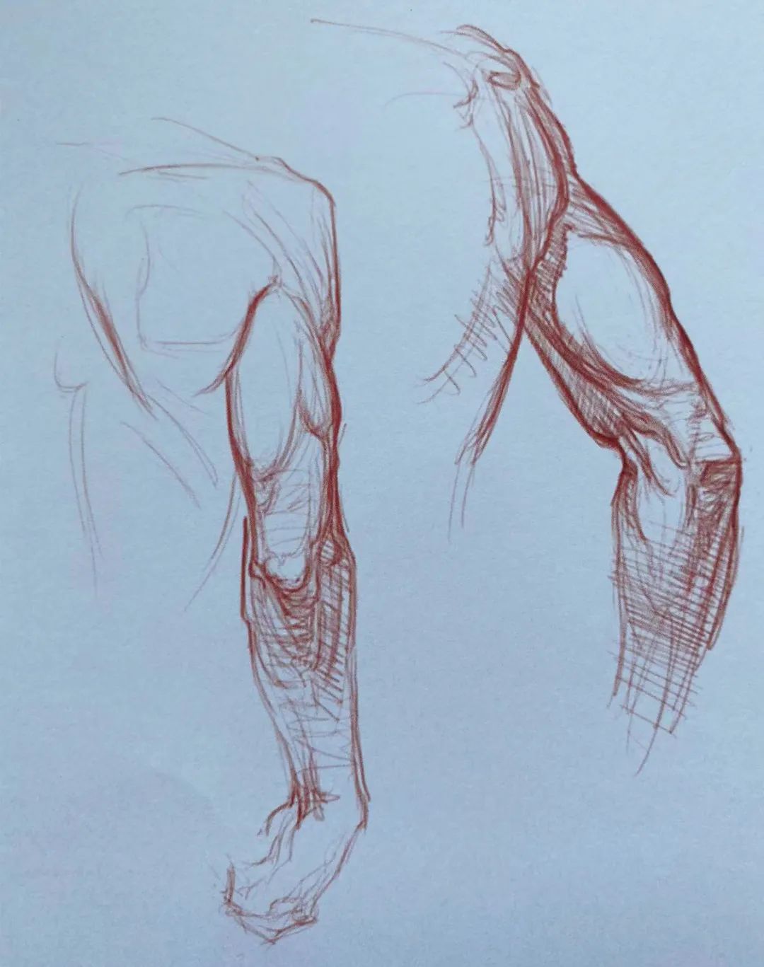 Dynamic Human Structure - Arms and Elbows - iNEWS
