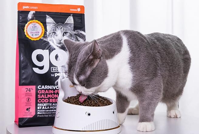 go cat food opens a new era of pet raising with scientific feeding ...