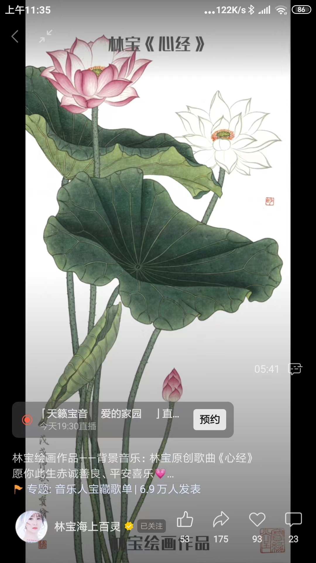 Lin Bao - Wonderful Art - iNEWS