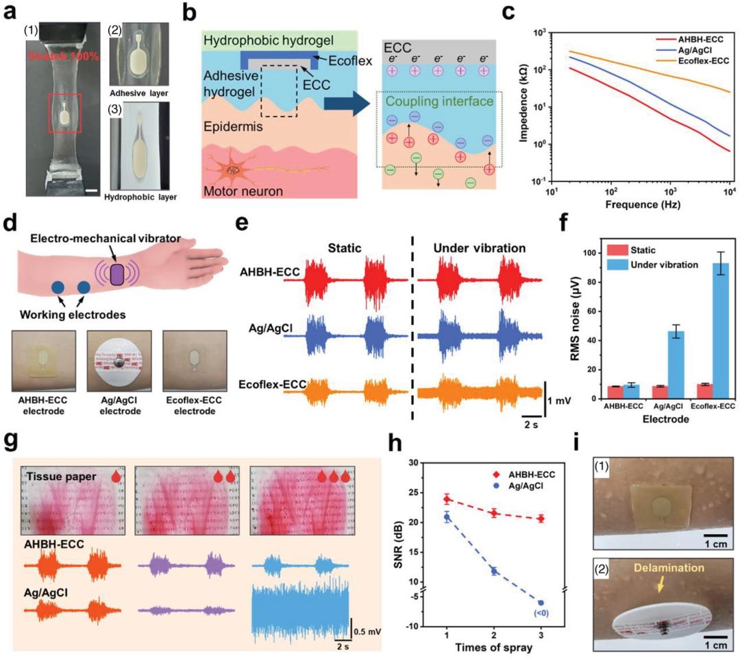 Adhesive/hydrophobic bilayer hydrogel sensor for high-fidelity classification of emotions - iNEWS
