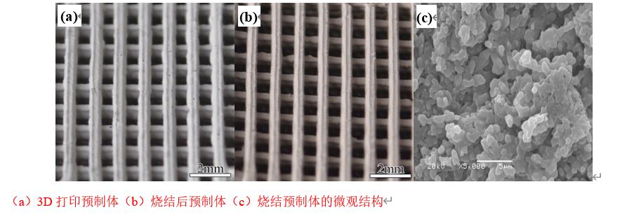Microstructure and properties of SiC/Al-Mg composites based on 3D ...