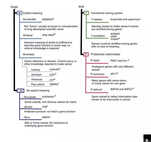 The names of these genes are so talented, you can post a 10-point ...