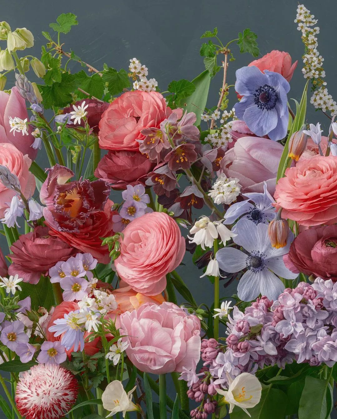 Countless flowers, countless beauty - iNEWS