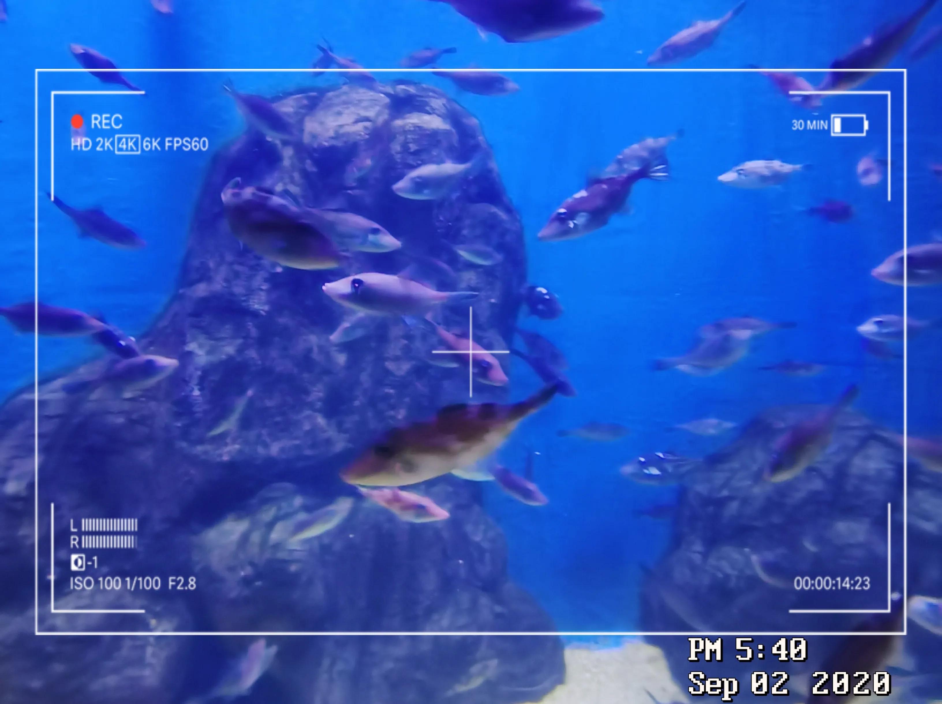 The bottom of the sea is an abyss and healing - iNEWS