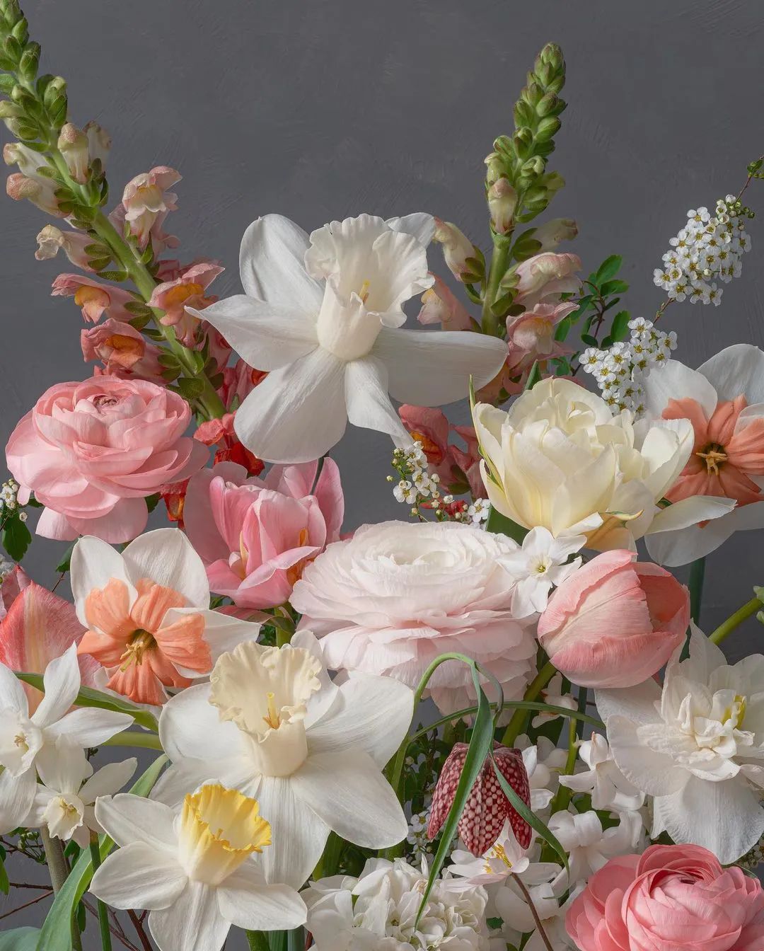 Countless flowers, countless beauty - iNEWS