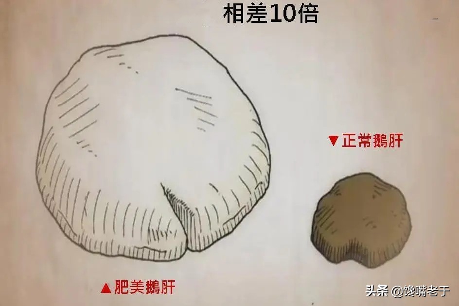 They are all foie gras. What is the difference between French foie gras and Chinese foie gras?It ...