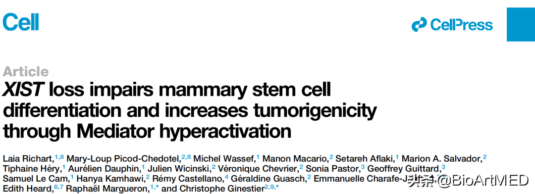 XIST deletion increases breast tumorigenicity - iNEWS